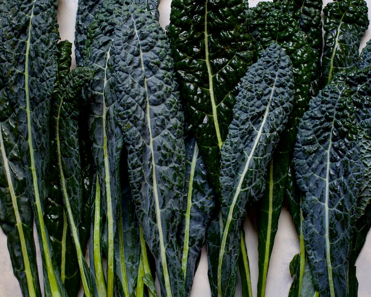Plant-Based Monday: Tuscan Kale - Food Heaven Made Easy